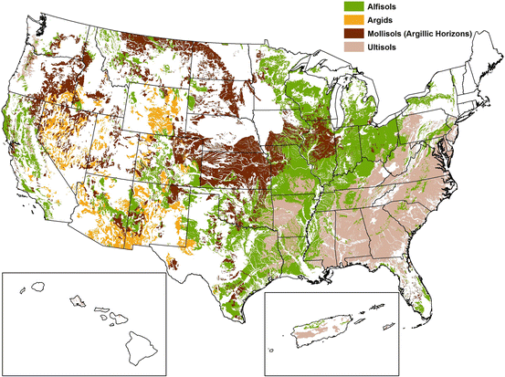Argillic, Kandic, and Natric Horizons | SpringerLink