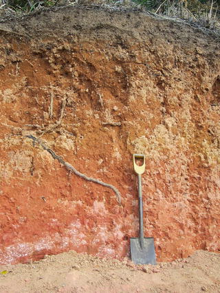 Oxic Horizon | SpringerLink