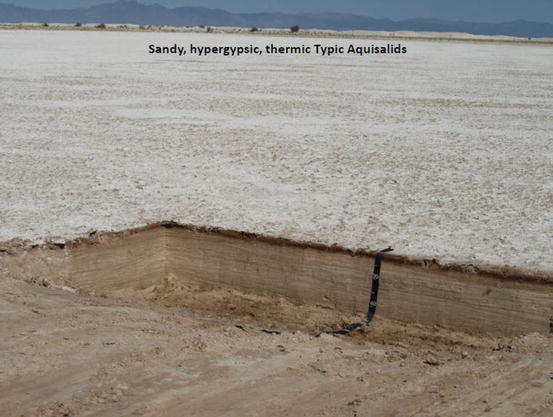 Salic Horizon | SpringerLink