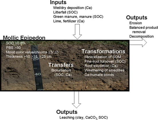 Mollic Epipedon | SpringerLink