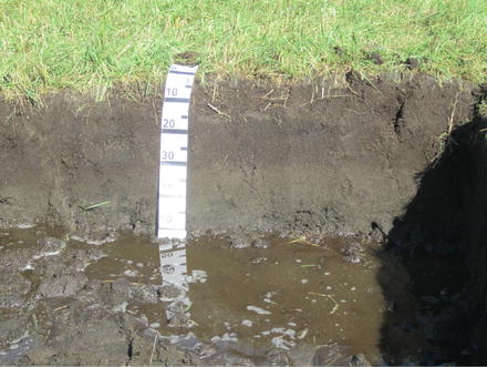 Histic and Folistic Epipedons | SpringerLink