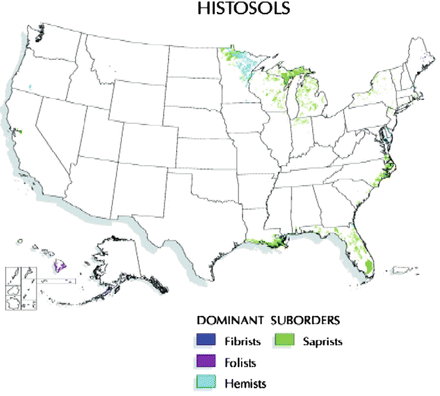 Histic and Folistic Epipedons | SpringerLink