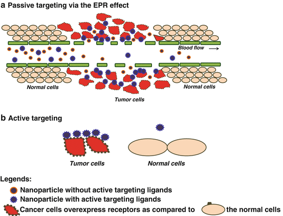 Passive vs. Active Targeting: An Update of the EPR Role in Drug ...