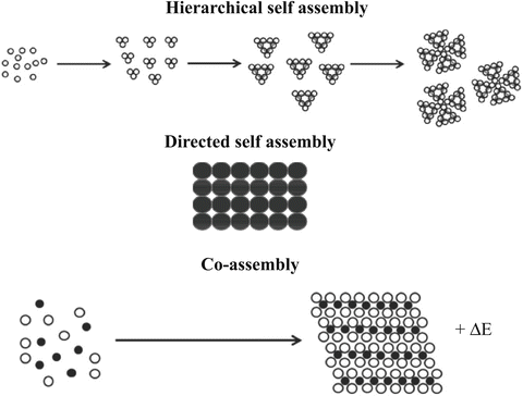 Self Assembly | SpringerLink