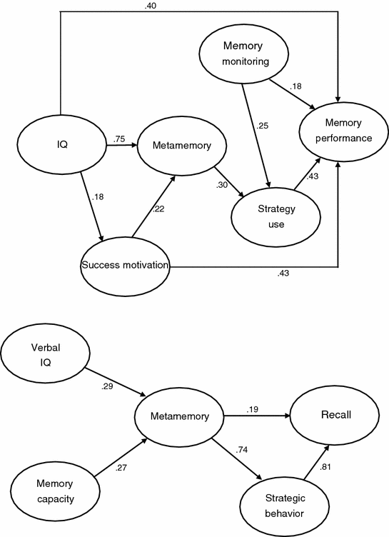 The Development of Metamemory | SpringerLink