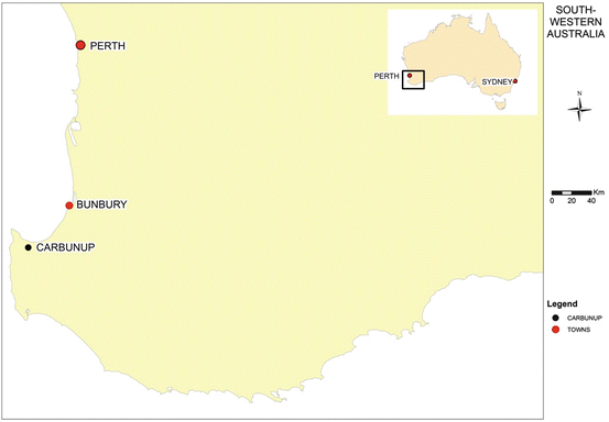 Identity and Culturally Defined Methods of Adaptation Amongst the ...