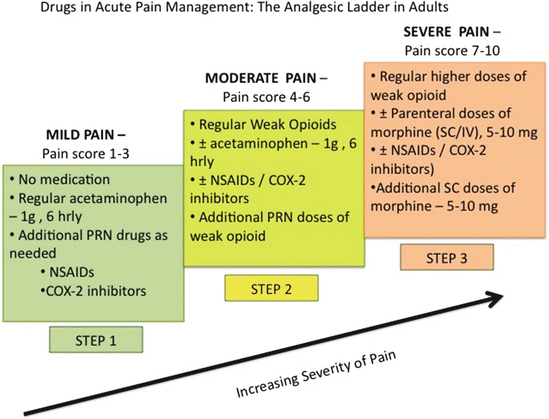 Drugs for the Management of Pain | SpringerLink