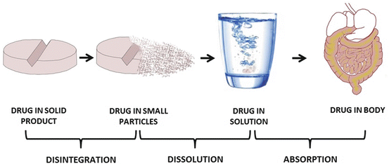 Drug Absorption and Bioavailability | SpringerLink