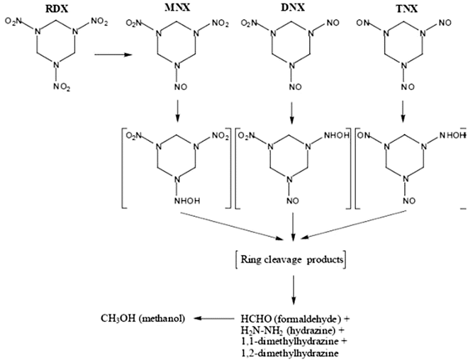 Phytoremediation of RDX | SpringerLink