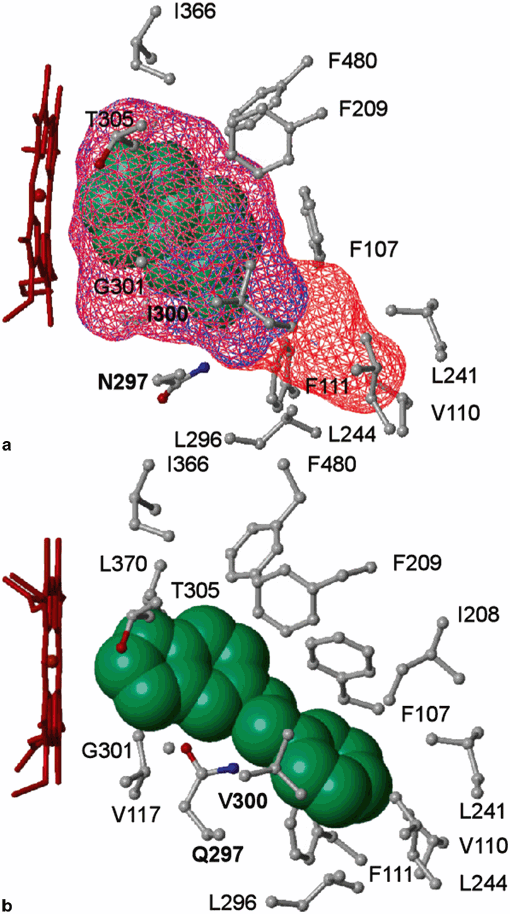 Human Cytochrome P450 Enzymes | SpringerLink