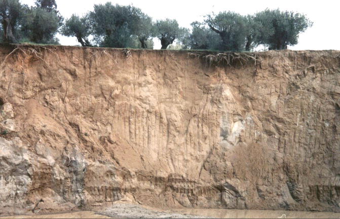 Residual Soils | SpringerLink