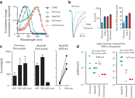 Optogenetics in Drosophila melanogaster | SpringerLink