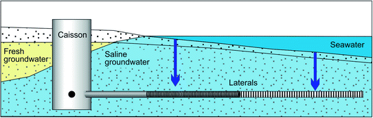 Well Intake Systems for SWRO Systems: Design and Limitations | SpringerLink
