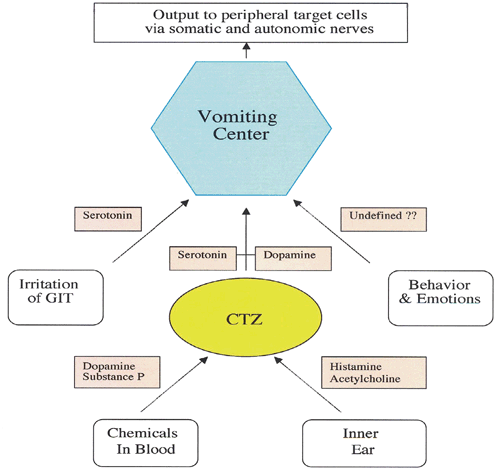 Protection from Adverse Effects | SpringerLink