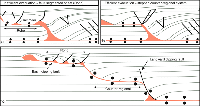 Flowing Salt: Halokinesis | SpringerLink