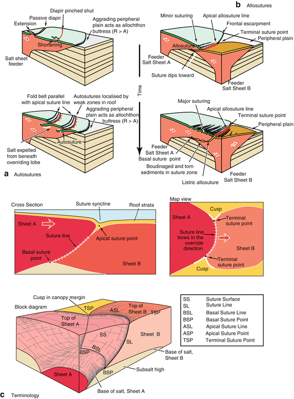 Flowing Salt: Halokinesis | SpringerLink