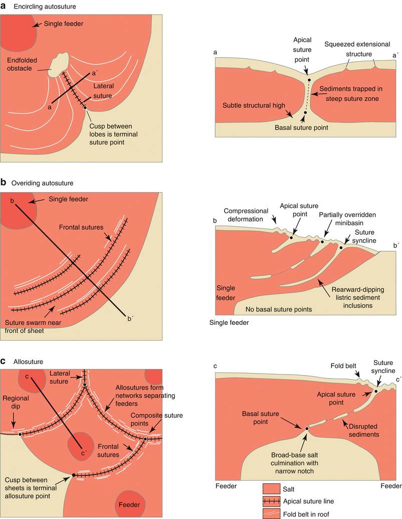 Flowing Salt: Halokinesis | SpringerLink