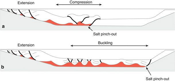 Flowing Salt: Halokinesis | SpringerLink