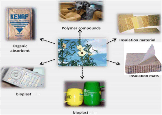 Potential Utilization of Kenaf Biomass in Different Applications ...