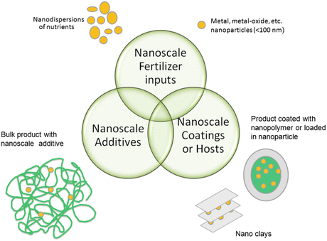 Strategic Role of Nanotechnology in Fertilizers: Potential and ...