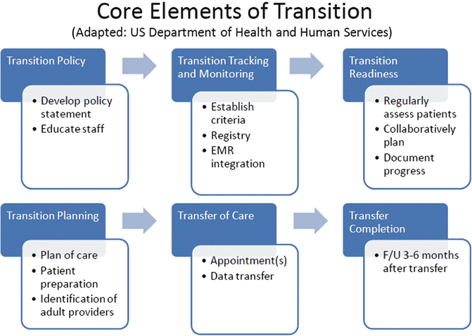 The Transition Process: Initial Assessment and Development of a ...