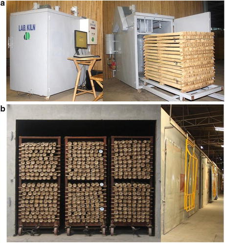 Preservation and Drying of Bamboo | SpringerLink