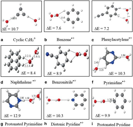 Noncovalent Interactions of Organic Ions with Polar Molecules in the ...