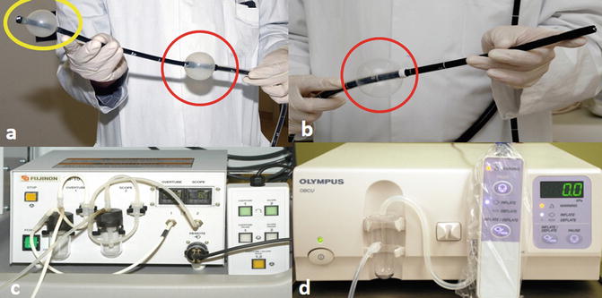 Balloon Enteroscopy | SpringerLink