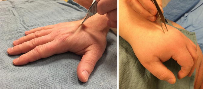 History and Physical Examination | SpringerLink