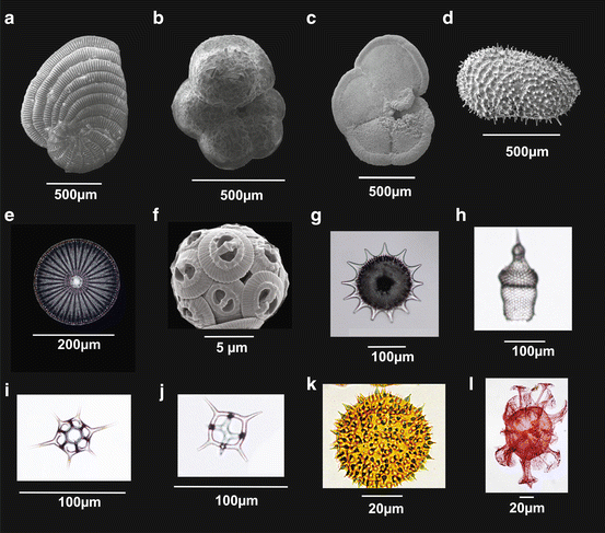 Introduction | SpringerLink