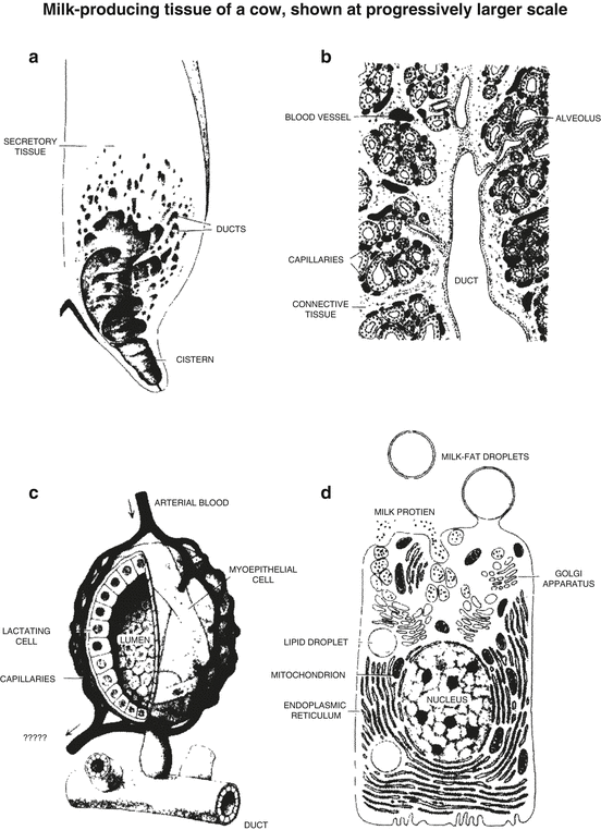 Production and Utilization of Milk | SpringerLink