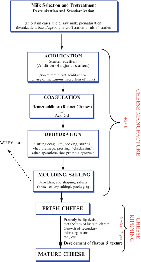 Chemistry and Biochemistry of Cheese | SpringerLink