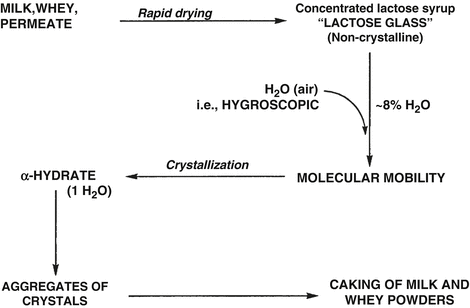 Lactose | SpringerLink