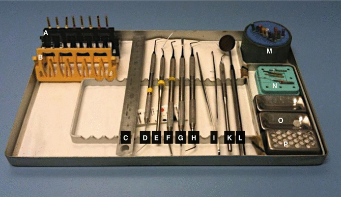 Endodontic Armamentarium | SpringerLink