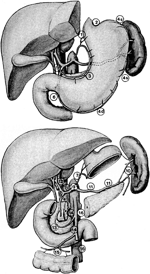 Lymphadenectomy—D1, D2, and D3 | SpringerLink