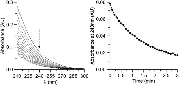 Fungal Unspecific Peroxygenases: Heme-Thiolate Proteins That Combine ...