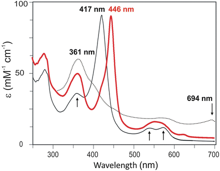 Fungal Unspecific Peroxygenases: Heme-Thiolate Proteins That Combine ...
