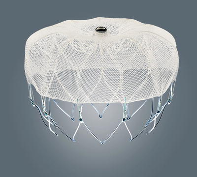 WATCHMAN Device | SpringerLink