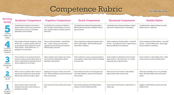 The Five Cs Model of Positive Youth Development | SpringerLink