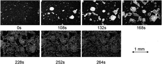 Tribology in Metalforming | SpringerLink
