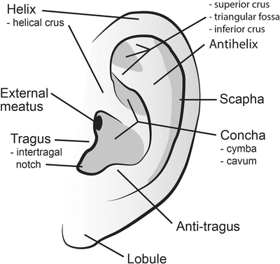 Otoplasty | SpringerLink