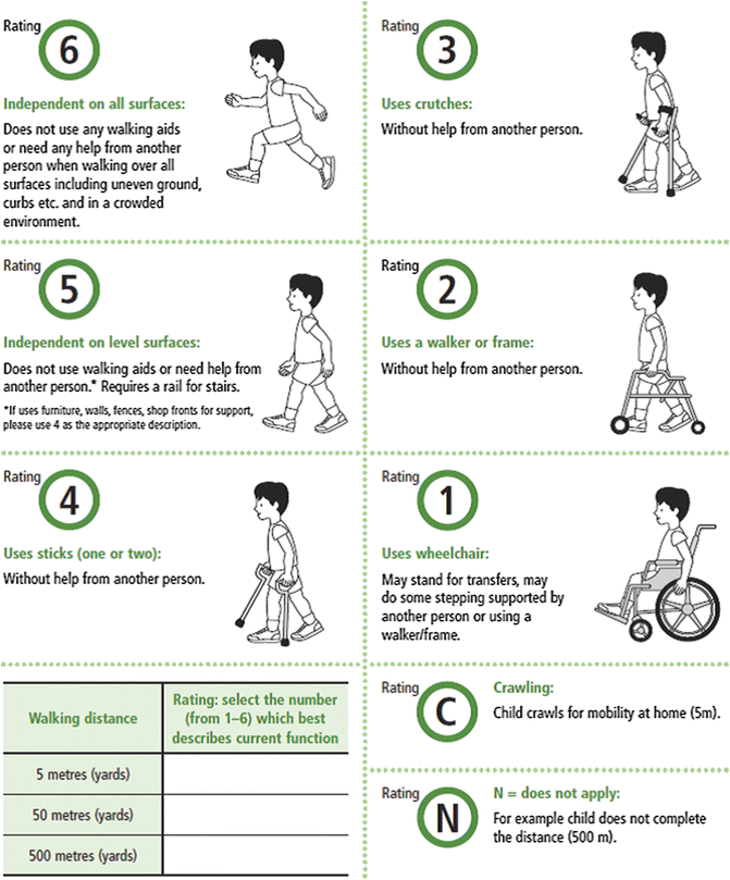 Developmental and Functional Evaluation and Assessment | SpringerLink