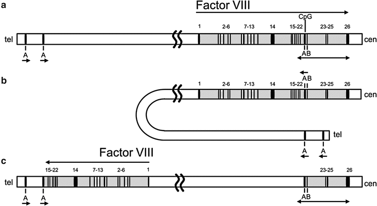 Coagulation Disorders | SpringerLink