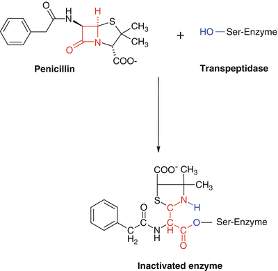 Inhibition and Inactivation of Enzymes | SpringerLink