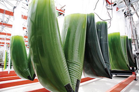 Design of Closed Photobioreactors for Algal Cultivation | SpringerLink