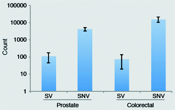 The Diverse Effects of Complex Chromosome Rearrangements and Chromothripsis in Cancer ...