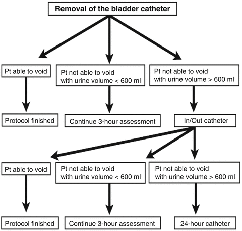 Management of Tubes, Drains, and Catheters | SpringerLink