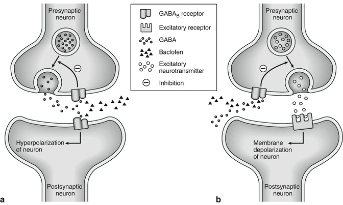 Baclofen | SpringerLink