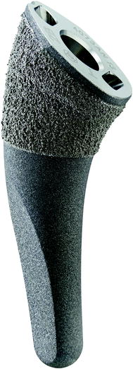 Tornier Aequalis Ascend™ Flex Convertible Shoulder System | SpringerLink