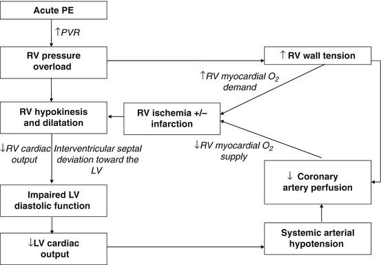 Pathophysiology of Deep Vein Thrombosis and Pulmonary Embolism: Beyond ...
